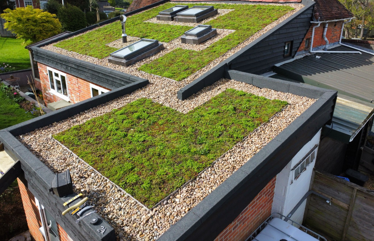 Green Flat Roofing | Green and Flat